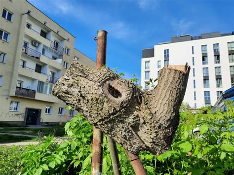 Green Artifact Of City Stock Image Image Of Green View 318612681