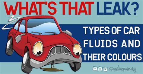 Types of Car Fluids | Fluid, Car, Type