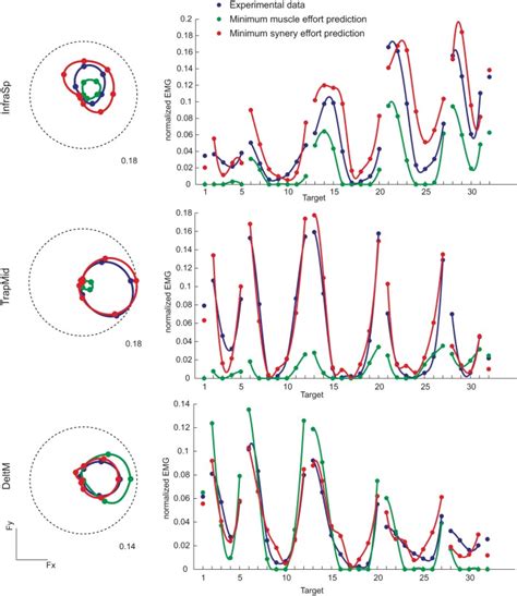 Examples Of Directional Tuning Of Muscle Activation Observed And