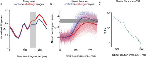 Results From The Passive Fixation Task A Comparison Of Normalized