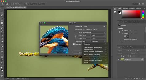 How To Resize Images In Adobe Photoshop