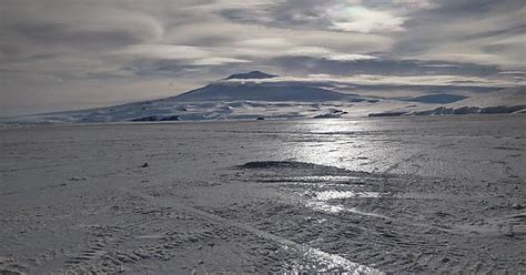Supporting Science In Antarctica I Got To Assist The Dive Team As They