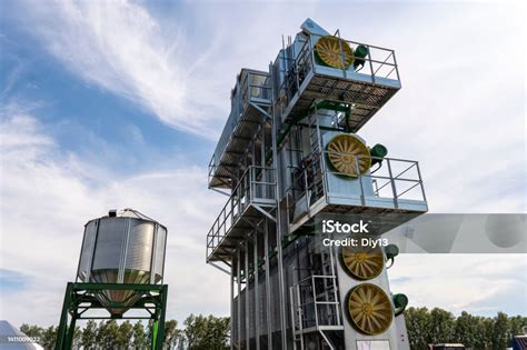 곡물 청소 및 분리 수확 후 선종을 청소하는 장치 하늘을 향한 엘리베이터 곡초류에 대한 스톡 사진 및 기타 이미지 곡초류 순서 청소하기 Istock