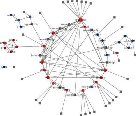 Bioinformatic Analysis Of Key Genes And Pathways Related To Keloids Pmc