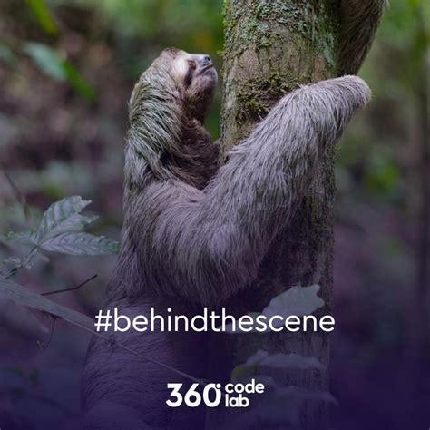 360 Code Lab On Linkedin Wespeakincode Celebrations Behindthescene