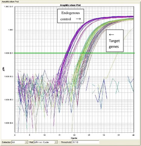 4 Amplification Plot For Both The Target And Reference Genes 4 Amplification Plot For Both The Target And Reference Genes