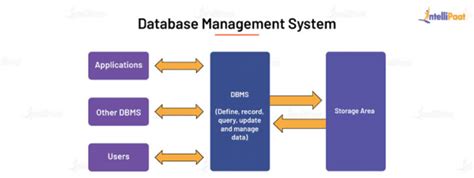 What Is DBMS Learn Database Management System