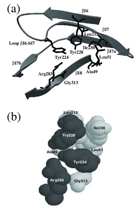 A Active Site Cavity Of Chdao Containing Key Catalytic Residues