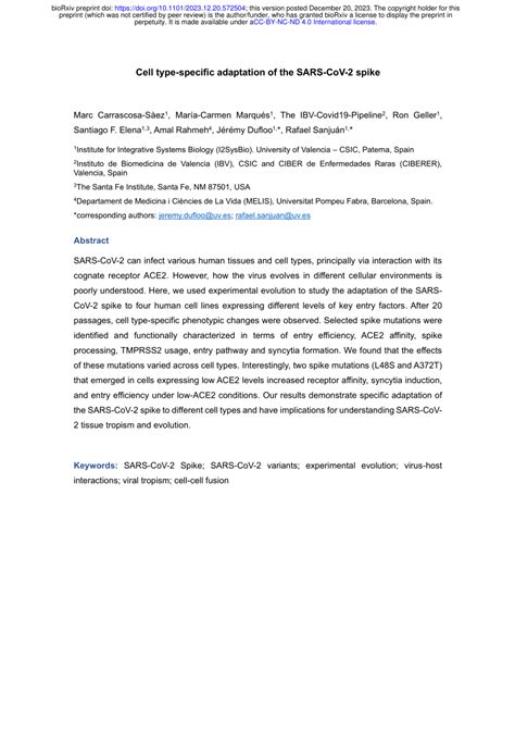 Pdf Cell Type Specific Adaptation Of The Sars Cov 2 Spike