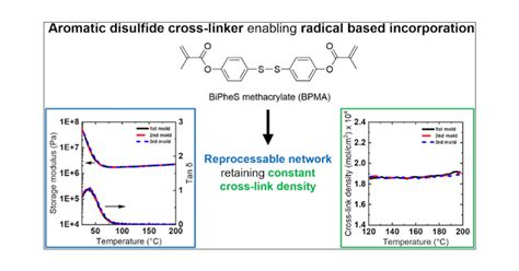 Reprocessable Covalent Adaptable Networks Via Free Radical Polymerization With An Aromatic