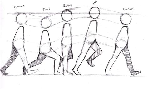 Walk Cycle Animation Poses Get More Anythink S