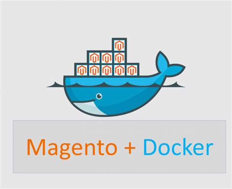 Install Magento 2 On Docker Part 1 Magepow Blog