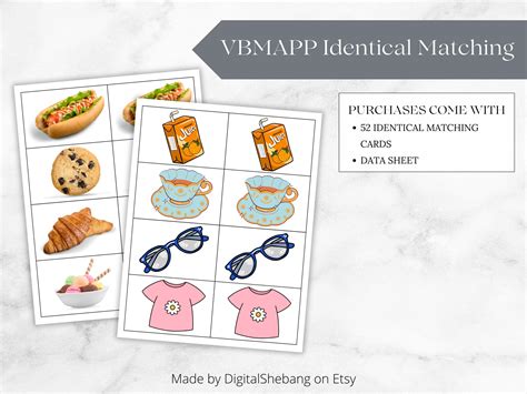 VB MAPP Identical Matching ABA Materials Flashcards Printable
