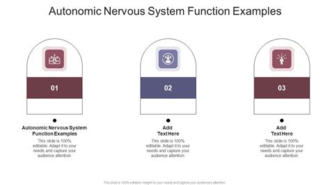 Top 10 Autonomic Nervous System Powerpoint Presentation Templates In 2025