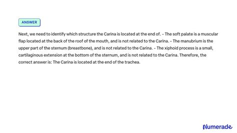 Solved The Carina Is Located At The End Of What Structure Soft Palate