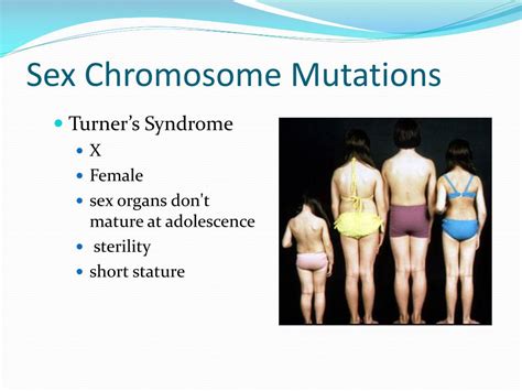 PPT Mutagenesis Mutations And Teratogenesis Congenital Malformations PowerPoint