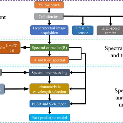 Processing Methods Of The Spectral Data R Reflectance A
