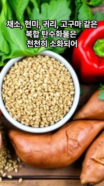 먹고도 살이 빠진다고 다이어트 고수들의 식단법 Youtube