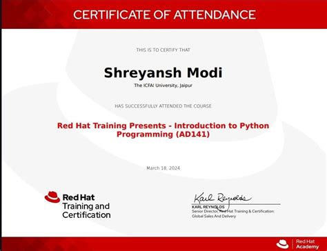 Skilldevelopment Certificatecompleted Python Coding