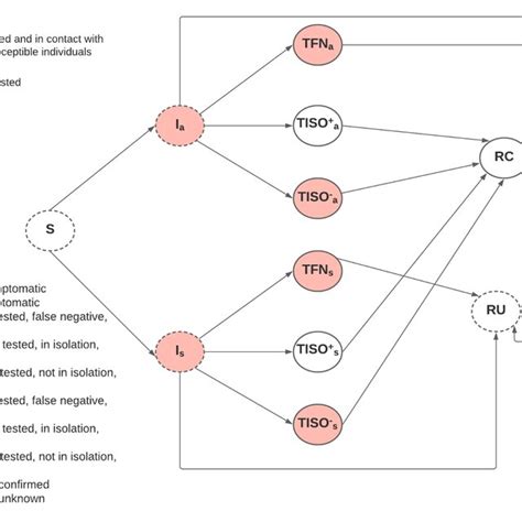 Diagram Of The Extended Sir Model Download Scientific Diagram
