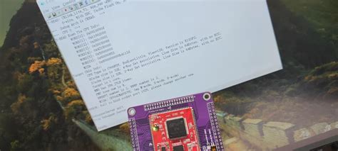 悬赏令：横向支持更多板子 纵向提供更多项目 Dongshanpi D1s教程征集活动 全志在线开发者论坛