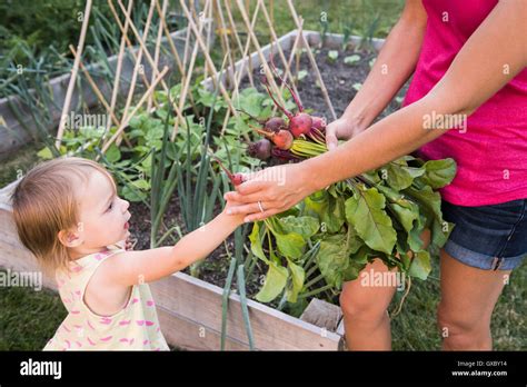 Grown Up Daughter And Mother Hi Res Stock Photography And Images Alamy