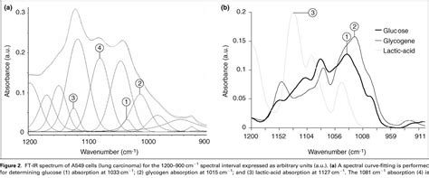 Figure 1 From Chemical Mapping Of Tumor Progression By Ft Ir Imaging Towards Molecular