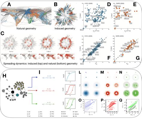 top panel geometry induced by spreading dynamics a network