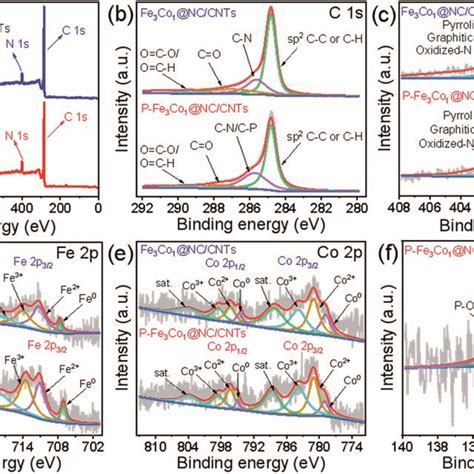 A Xps Survey Spectra Of P Fe3co1 Nc Cnts And Fe3co1 Nc Cnts