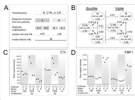 Figure 1 From Optimized Protocol For Linear Rna Amplification And