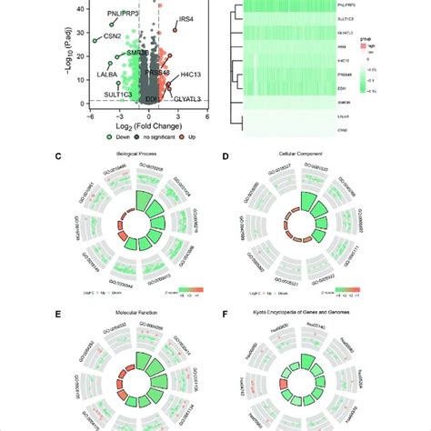 Gsva Analysis A Heatmap Of Gsva Differential Pathway Results Based Download Scientific
