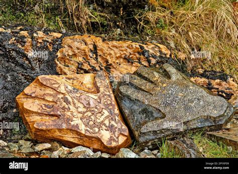 Knockan Crag National Nature Reserve Scotland The Moine Thrust Fault At Knockan Crag And Hand