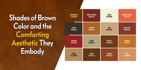 Shades Of Brown Color And The Comforting Aesthetic They Embod