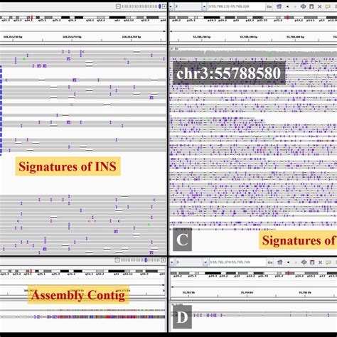 Two Examples Are Detected With Rcanid A The Original Alignments Of