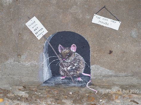 On The Trail Of Isle Of Sheppeys Mystery Moo Mop Mouse Uk