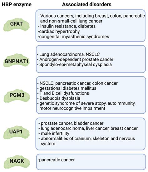 The Hexosamine Biosynthesis Pathway Regulation And Function Pmc