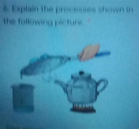 Explain The Processes Shown In The Following Picture Brainly In
