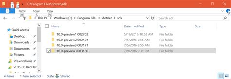 Where S DNVM Safely Running Multiple Versions Of The NET Core SDK And