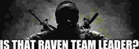 My Raven Fanart R Raventeamleadersimps