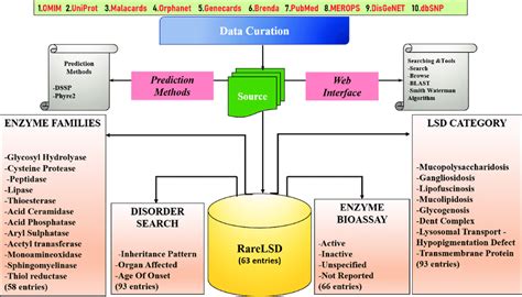 The Organization Of The Rarelsd Download Scientific Diagram