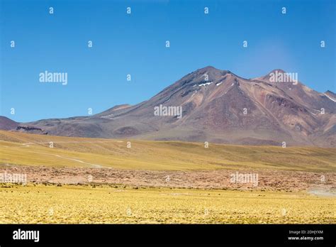Volcano Miniques Rises Above The Coiron Grasslands Of The Altiplano