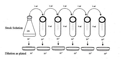Serial Dilution Diagram