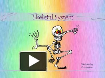 PPT Skeletal System PowerPoint Presentation Free To View Id Fd ZDc Z