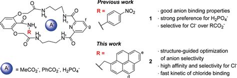 Anion‐binding Properties Of Macrocyclic Hosts 1 Vs 2 Download