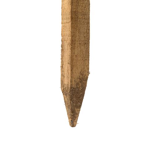 Wooden Stake 1500mm
