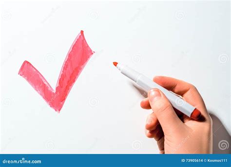 Writing Checkmark In Checkbox In Checklist Completed And Finished Task