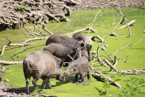 Img0293 Ingo Weyer Flickr