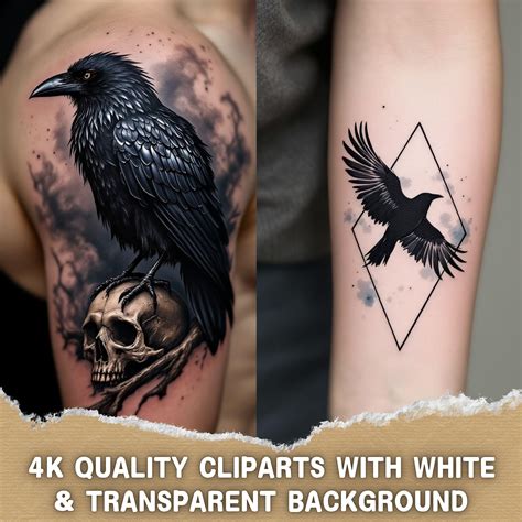 28 Raven Tattoo Designs Gothic Norse Celtic Art Png Digital
