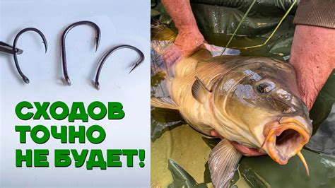 Самые популярные КРЮЧКИ для Карповой и Флэт-Фидерной ЛОВЛИ! Как выбрать ...