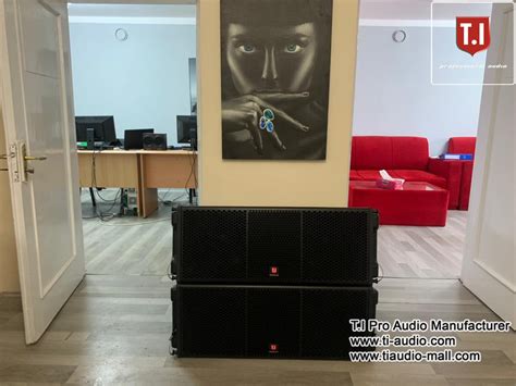 Double 12 Inch Passive Line Array Sound System For Show Line Array